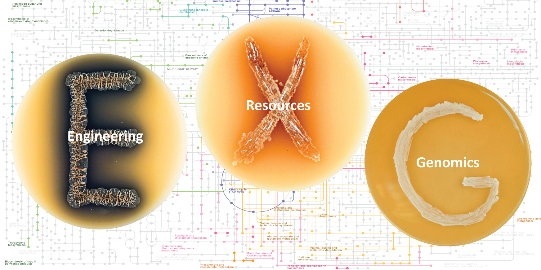 We are here! – Explogen Blog