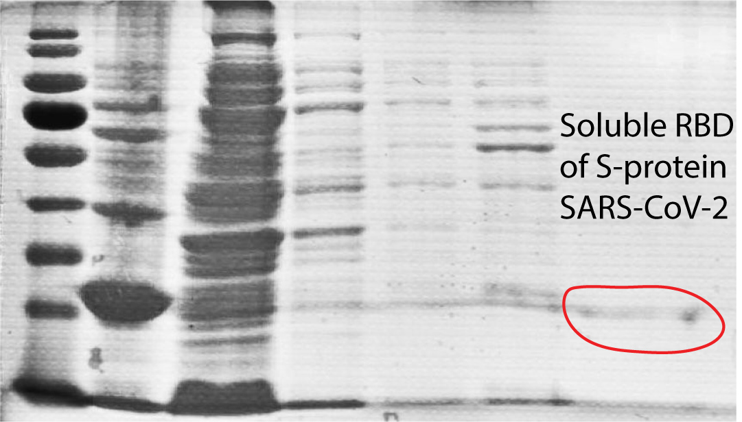 Explogen Blog – Blog