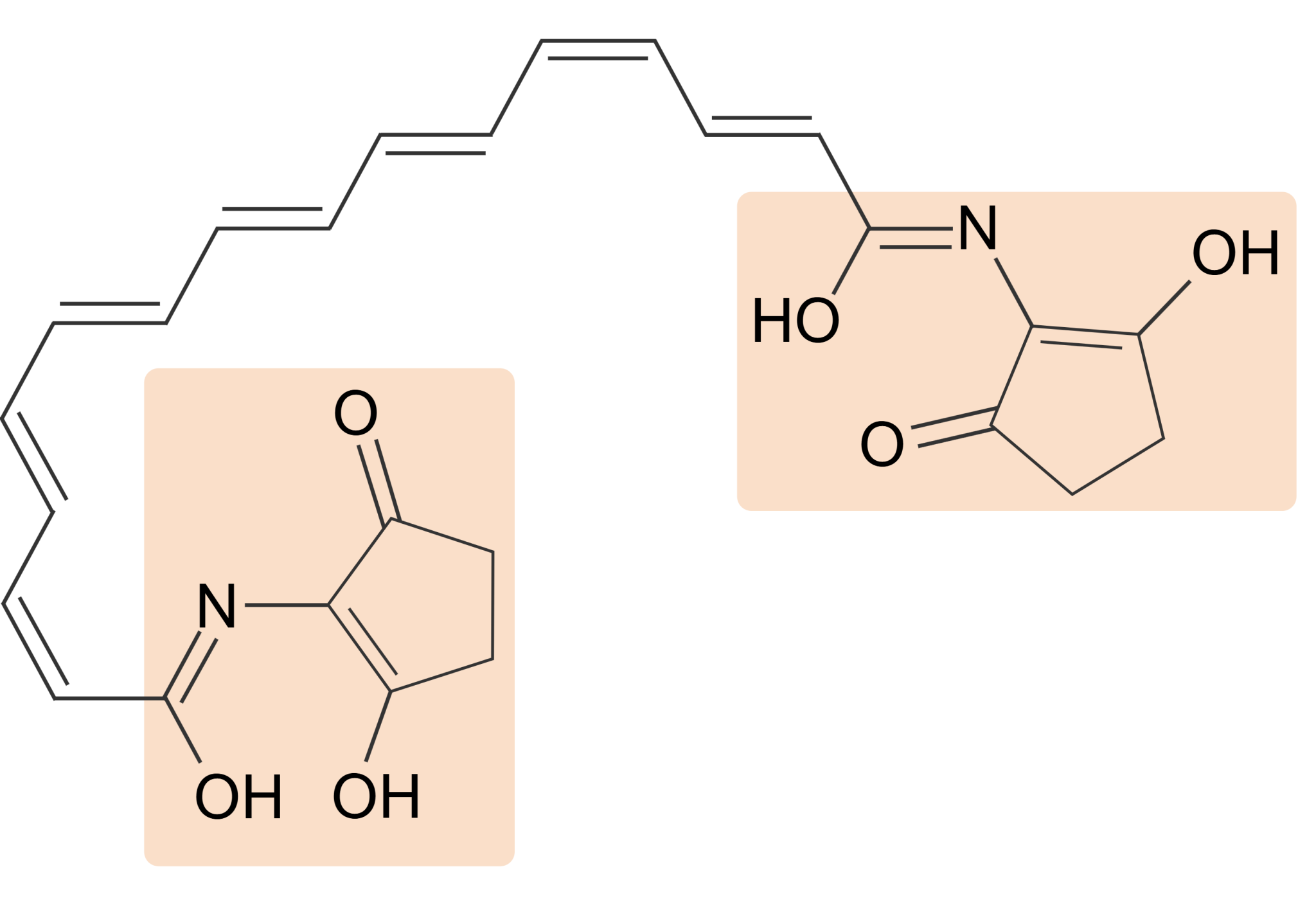 Explogen Blog – Blog